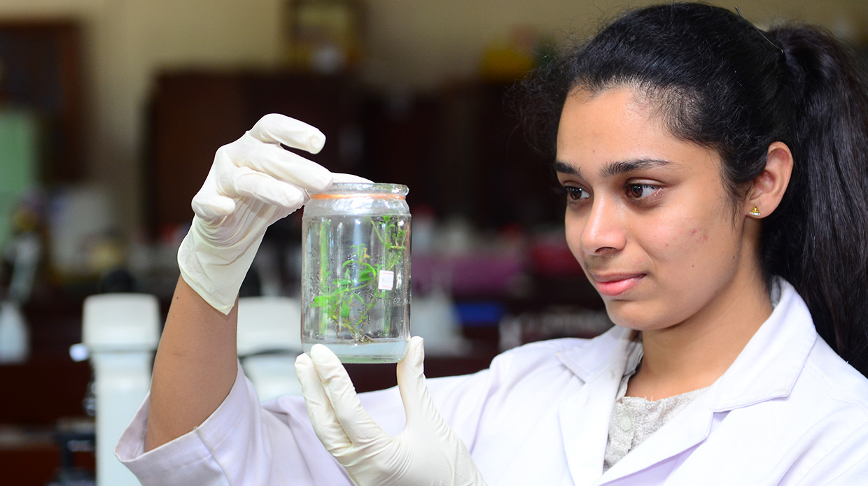 Department of Botany