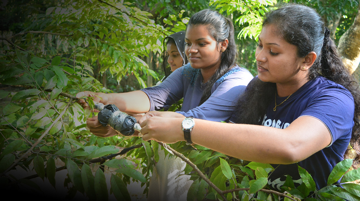 Department of Forestry and Environmental Science