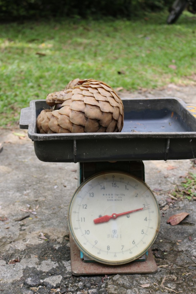 About Us – Center for Sustainability