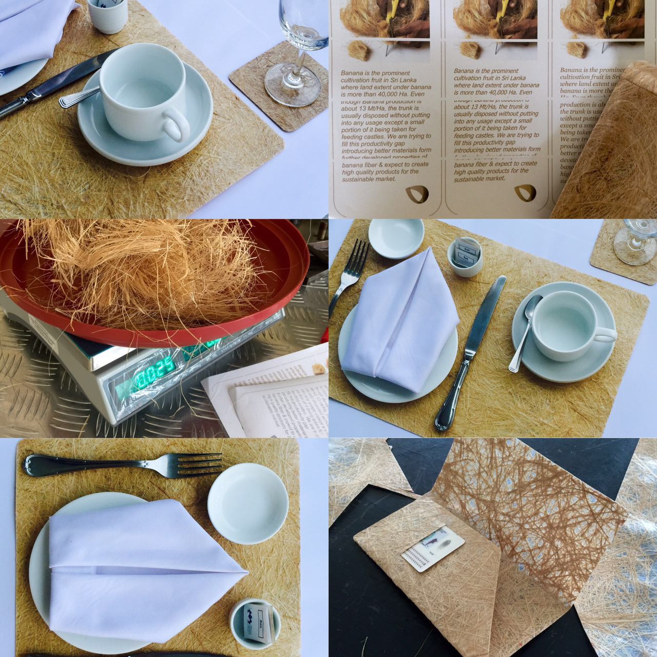 WORKSHOP ON DEVELOPING POVERTY-REDUCING WASTE COMPOSITE BUSINESSES ...