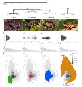 Integrating bioacoustics, DNA barcoding and niche modeling for frog ...