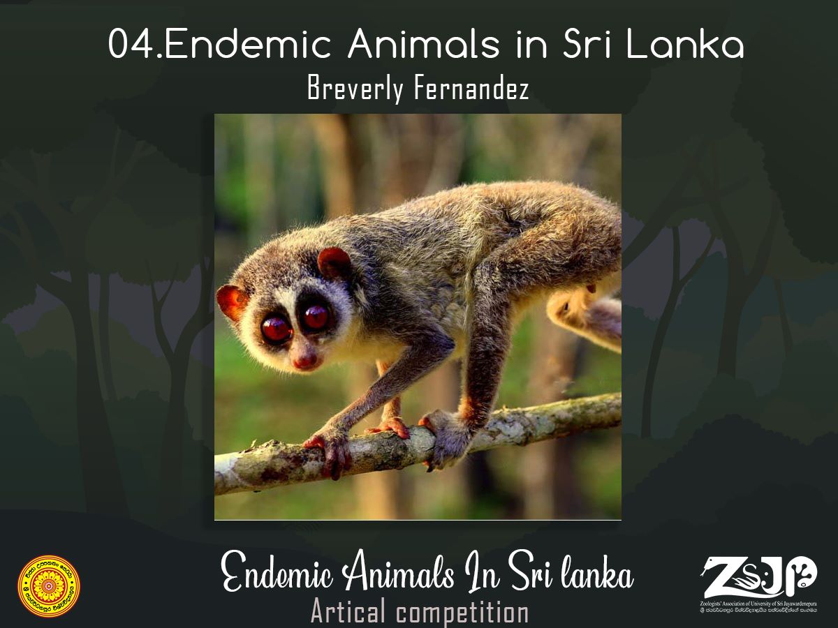 Endemic species – ZSJP